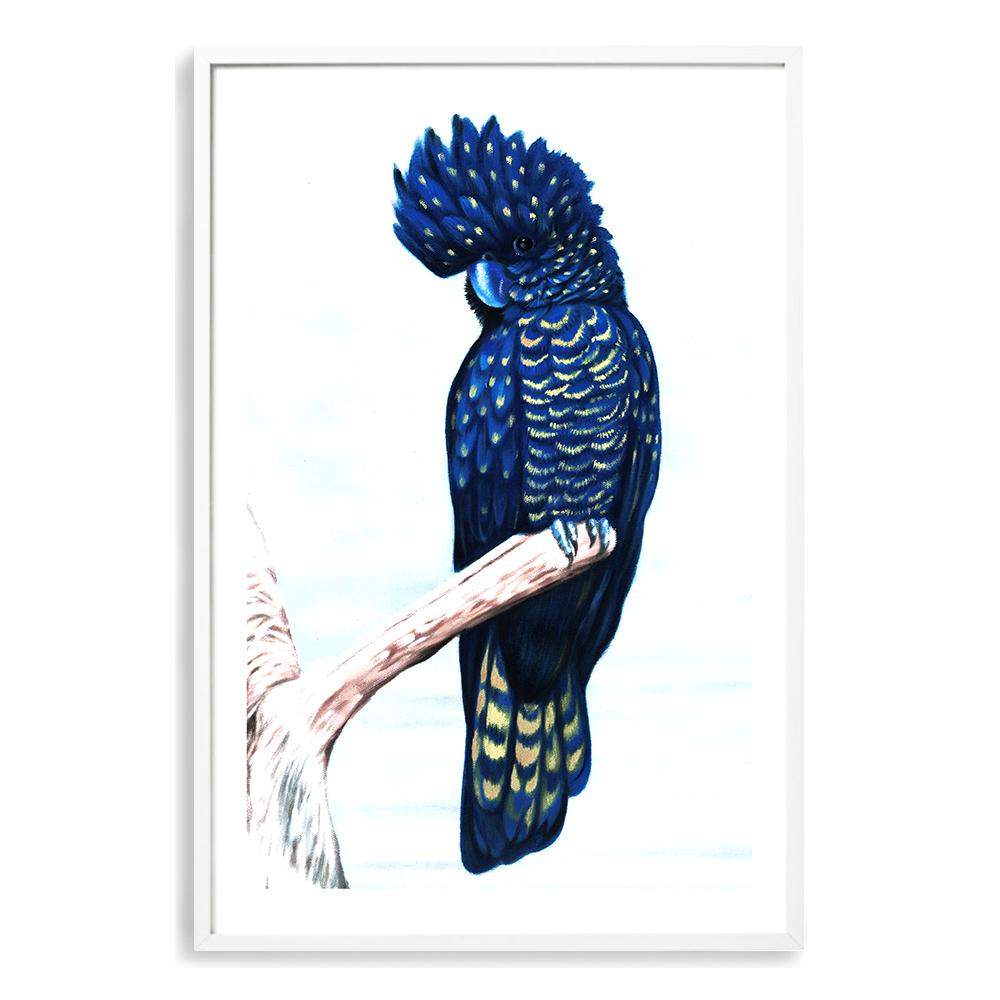 Black Cockatoo Art Print Framed Wall Art And Canvas Print The Paper Tree