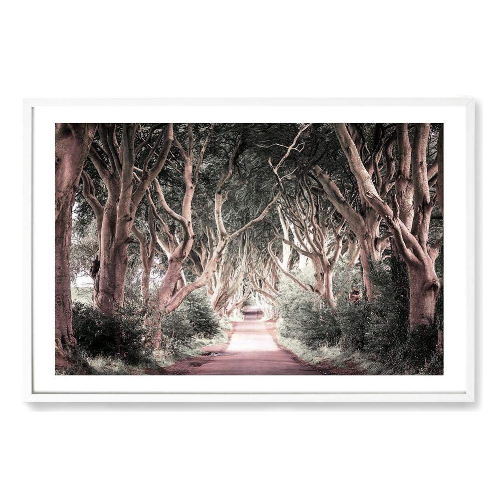 Through The Trees Art Print, Framed Wall Art & Canvas Print – The Paper ...