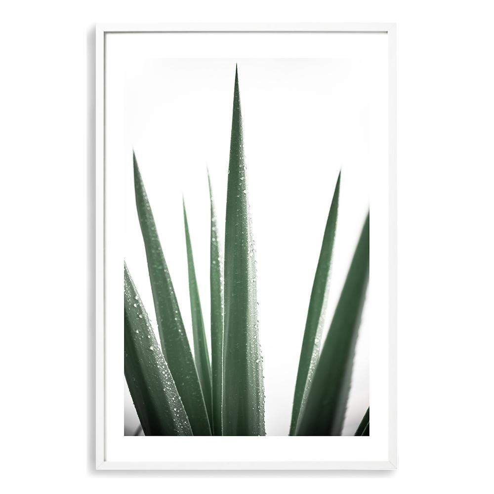 Yukka Leaves Art Print, Framed Wall Art & Canvas Print – The Paper Tree